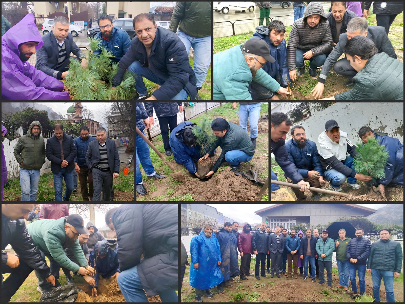 Chinar Day Celebrated with Massive Tree Plantation Drive in Srinagar ...