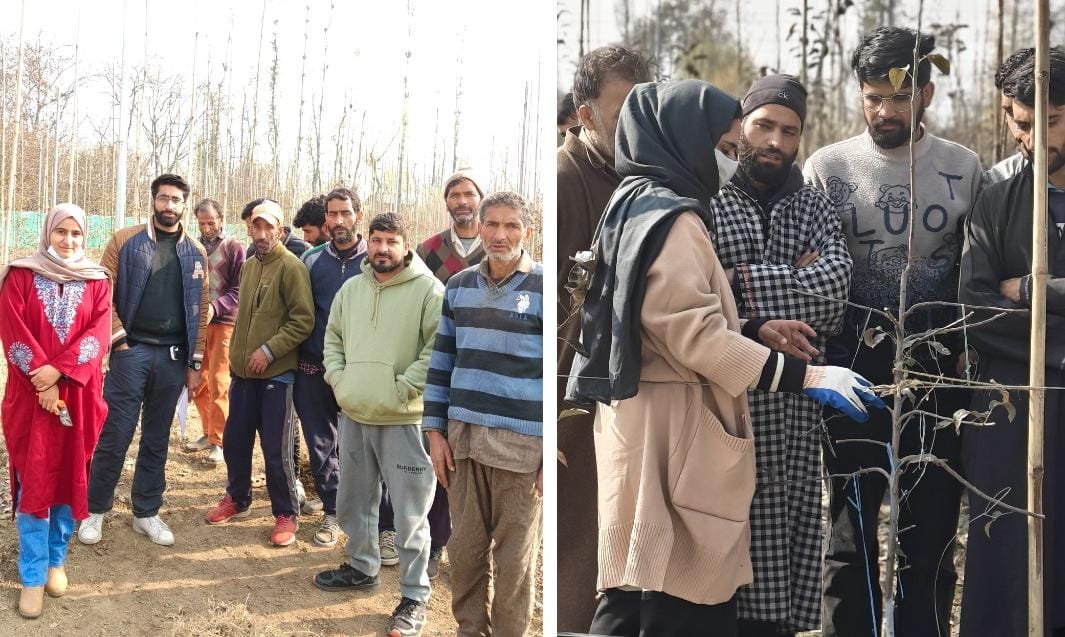 Qul Fruits Extends Massive Outreach, Conducts 152 Pruning Workshops ...