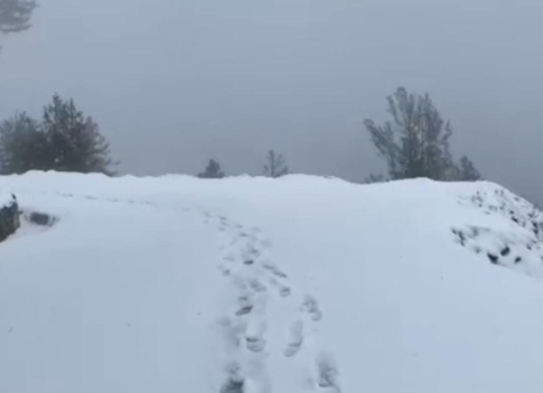 Heavy Snowfall Closes Sadhna Top, Authorities Set Up Control Rooms ...